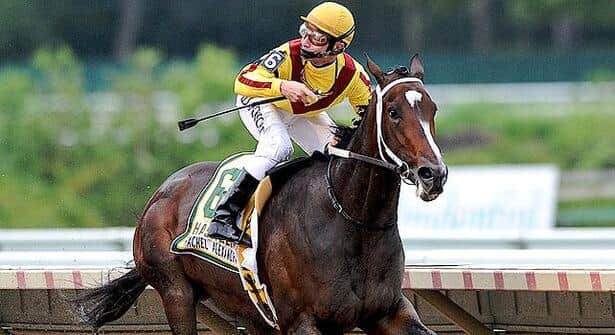 Rachel Alexandra to the Woodward