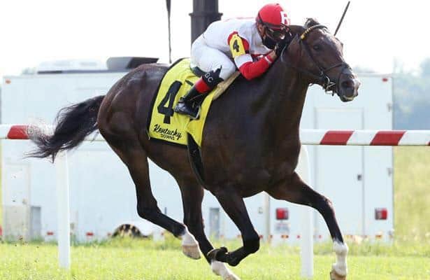 Ramsey Solution wins Tapit to cap huge day for Ward, Corrales