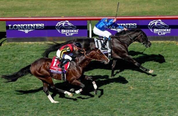 Rebel's Romance holds to win his 2nd Breeders’ Cup Turf