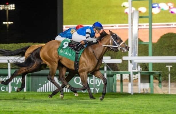 After Saudi Arabia victory, Reef Runner goes on to Dubai
