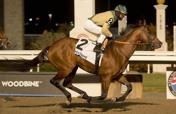 Horses to watch: Casse star Ride a Comet returns to turf