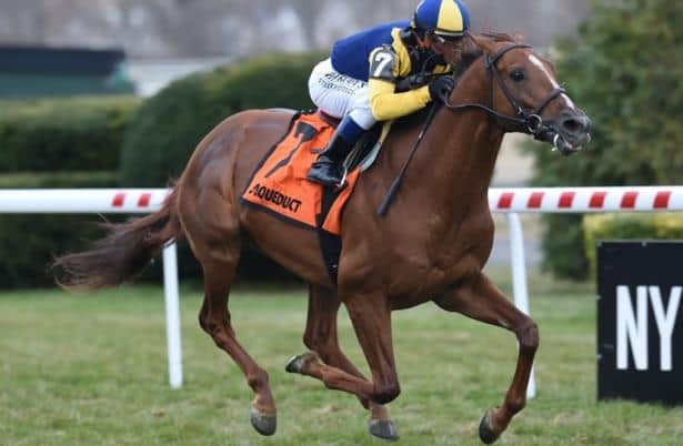 7-year-olds Sadler's Joy, Aquaphobia square off in Red Smith