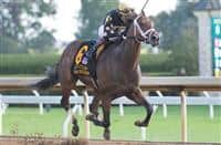 Michael Maker - Trainer