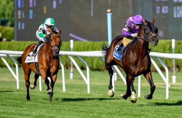 Tawny Port wins Belmont Gold Cup, earns Melbourne Cup ticket