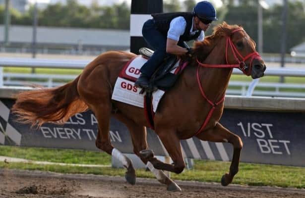 Kentucky Derby 2026: The Puma is scratched