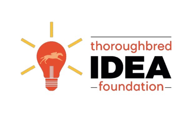 Thoroughbred Idea Foundation ends active operations