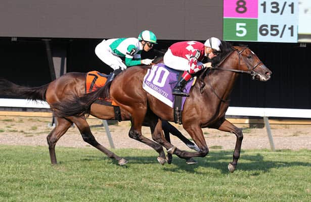 The Foxes, Silver Knott challenge Americans in Belmont Derby